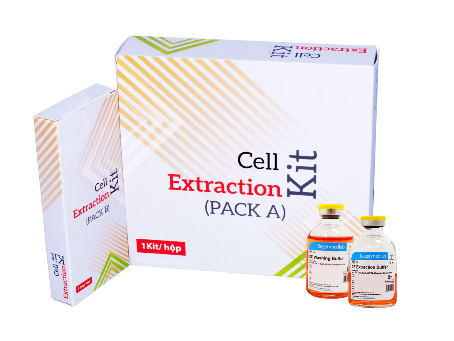 Cell Extraction Kit – Biomedmart